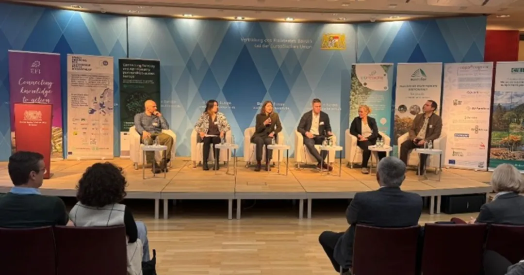 Innovating Europe's Forests for a Resilient Future: conclusions from the 6th Forest Innovation ...